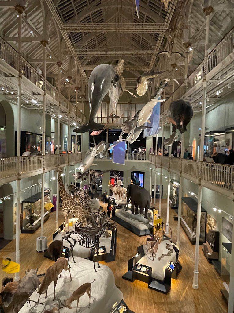 National Museum of Scotland - David Leighton